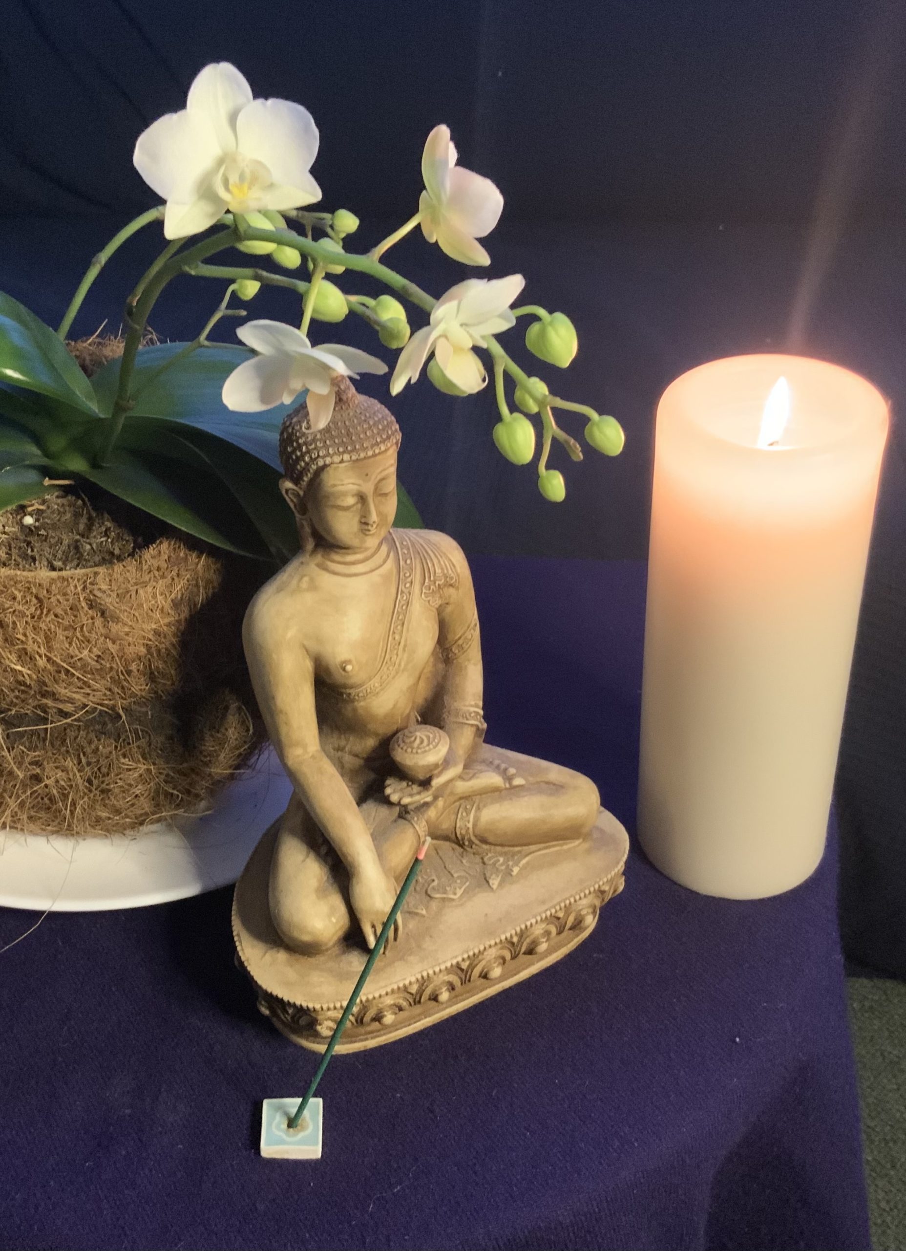 Parinirvana Day 2021 Mitra Ceremonies - West London Buddhist CentreWest ...
