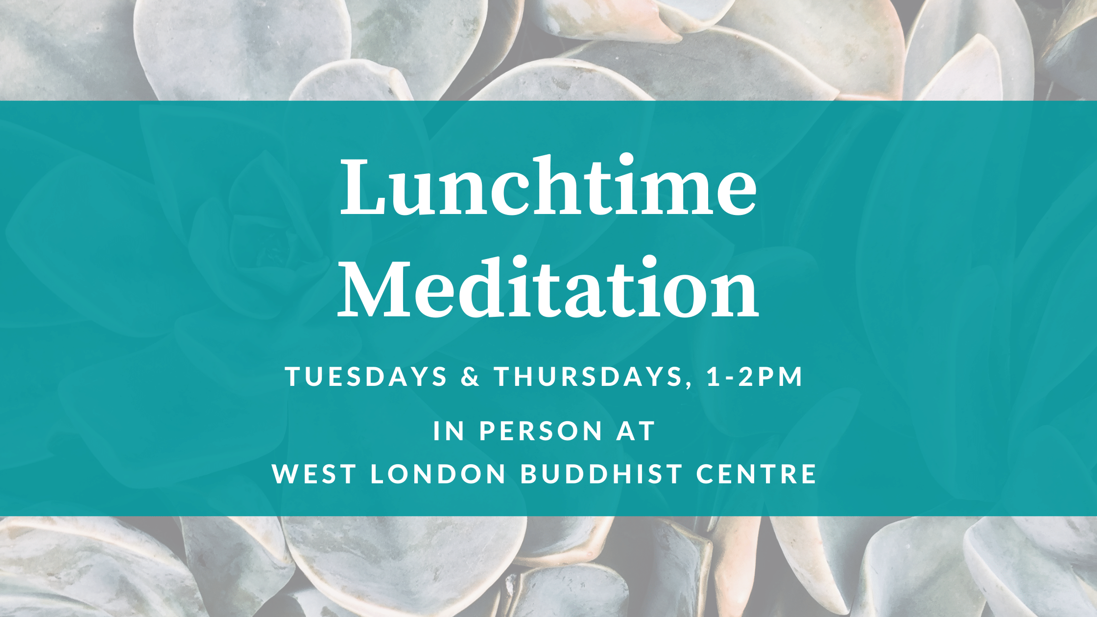 Calendar - West London Buddhist CentreWest London Buddhist Centre